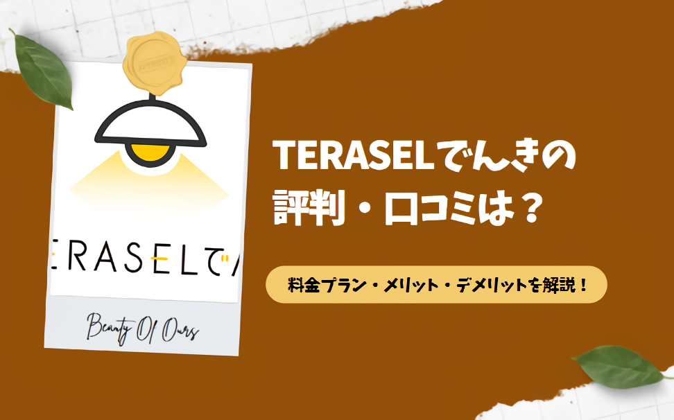TERASELでんきの評判や口コミは？料金プランの詳細・契約するメリットやデメリットも徹底解説！
